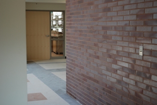 Heading - Krasnow Institute for Advanced Study - George Mason University